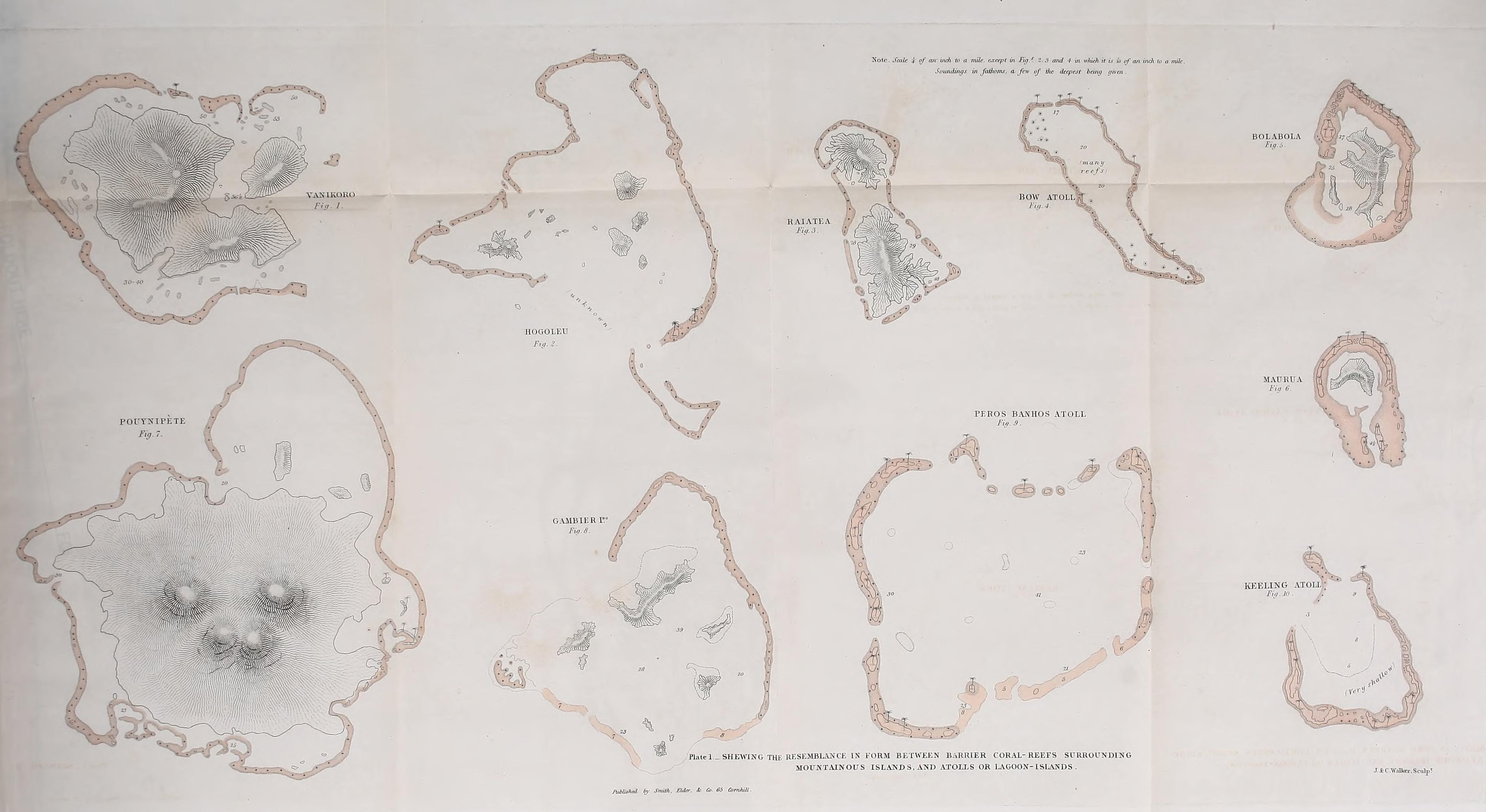 Coral Reefs by Charles Darwin (1809~1882)
