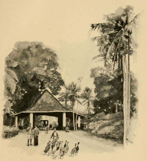 Java : The garden of the East