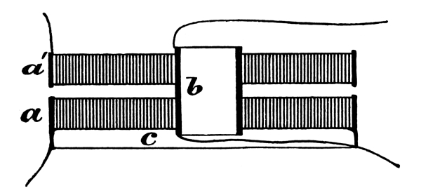History of the Transformer