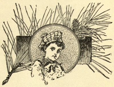 Rollo at Play; Or, Safe Amusements