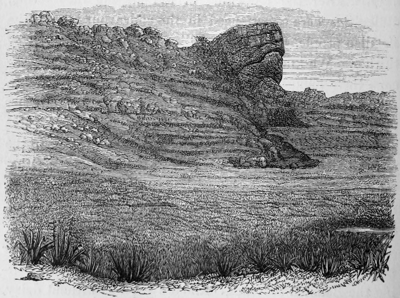 Twelve months in Madagascar