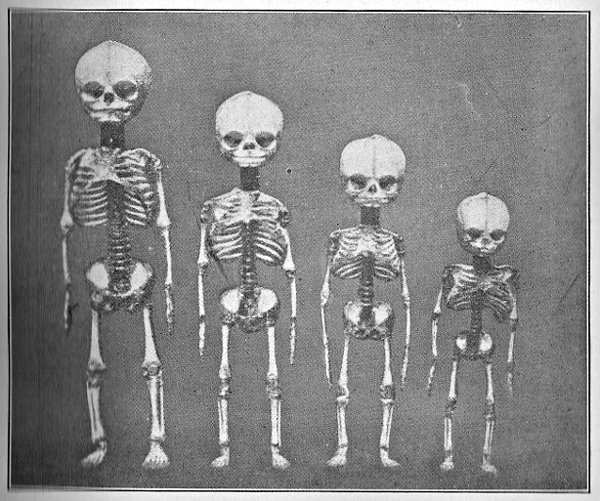 Pedagogical Anthropology