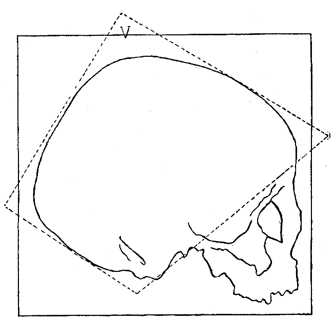 Pedagogical Anthropology