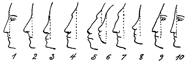 Pedagogical Anthropology