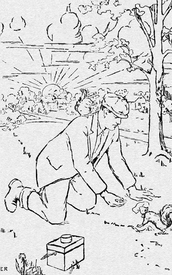 Hazel Squirrel and Other Stories