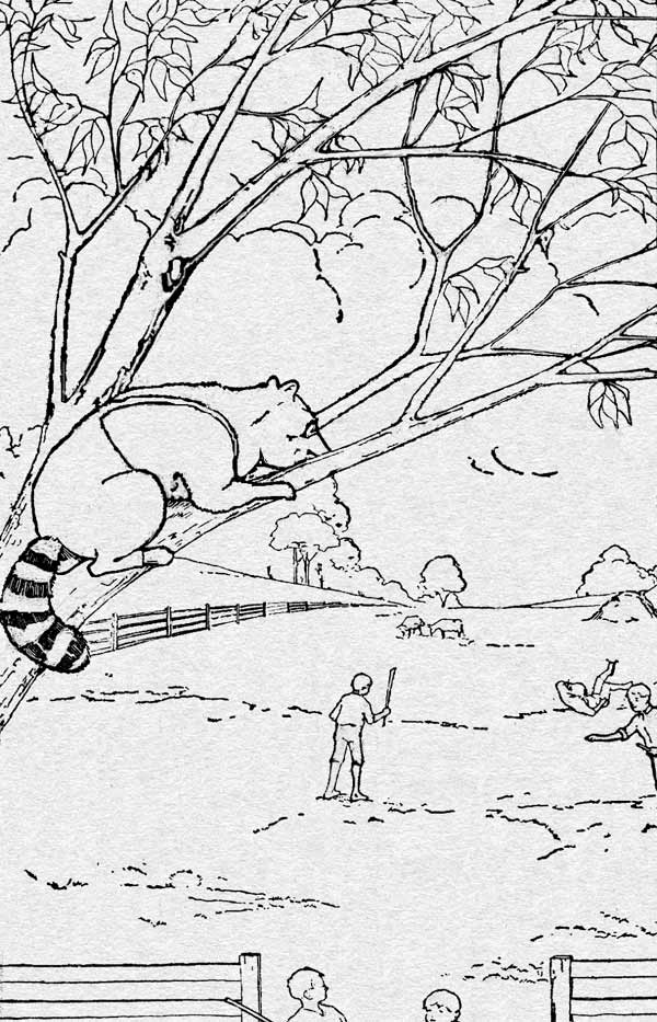 Hazel Squirrel and Other Stories